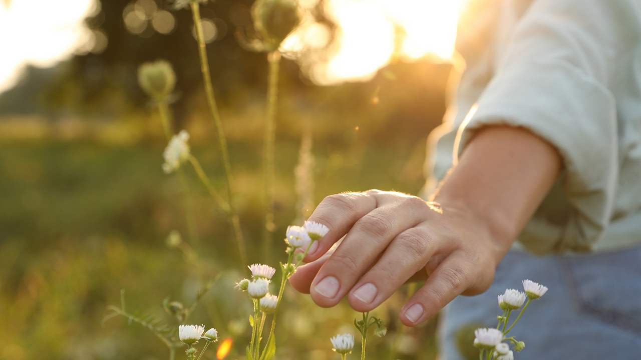 Hochsensibilität: Definition, Test & Tipps - hkk-magazin